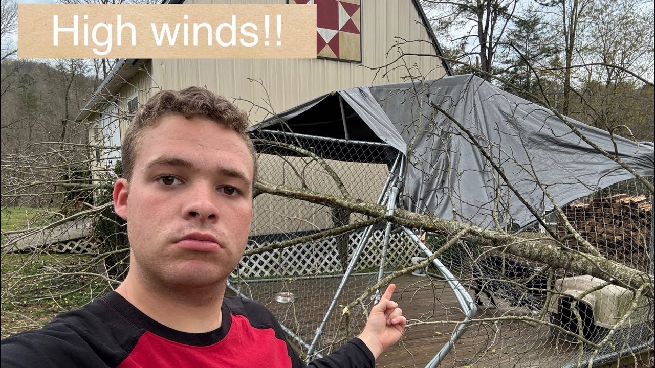 We had HIGH WINDS!!(farm update) - YouTube