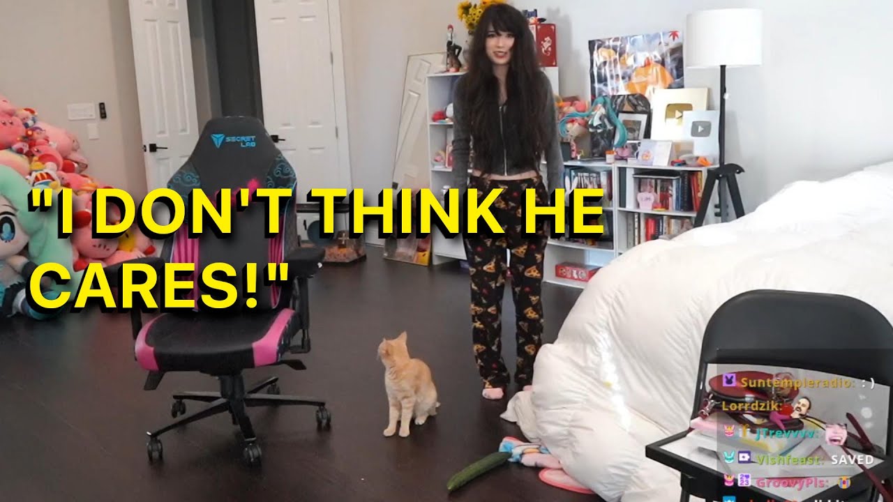 Emiru tries to scare Cheddar with cucumber - YouTube