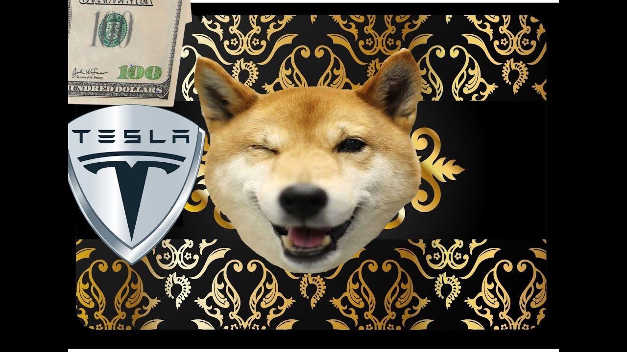 TESLA & DOGE!! LIVE STREAM * & BITCOIN VIP!! - YouTube