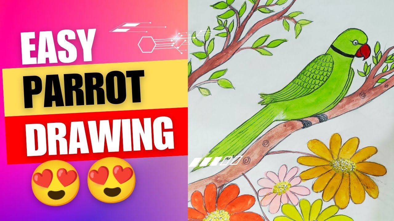 Parrot Drawing Easy / How to Draw Parrot Step by Step for Beginners I ...