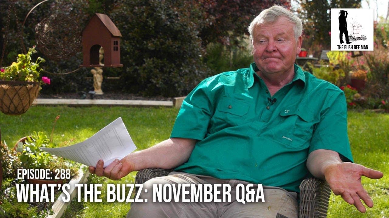 What's the BUZZ: Beekeeping Information | Q&A Series for Beekeeping ...