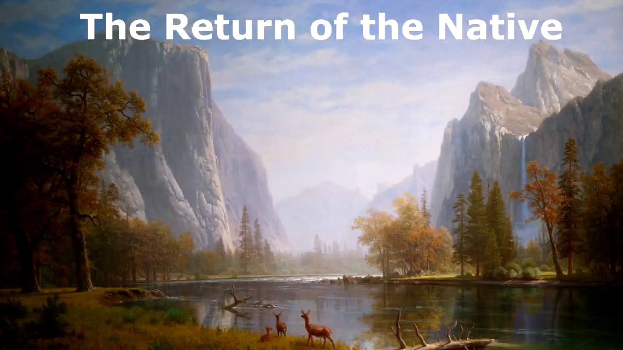 The Return of the Native Book 4 by Thomas Hardy - YouTube