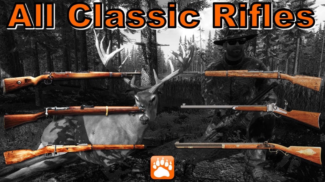 ALL Classic Rifles Hunt | theHunter Classic 2017 - YouTube