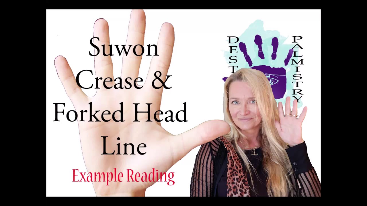 Suwon Crease and Forked Head line in Palmistry Lessons by Sari Puhakka ...