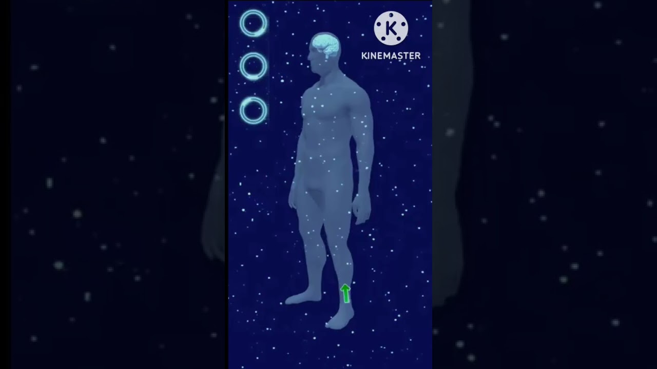 How Gaming Affect You Body_ (3D Animation) - YouTube