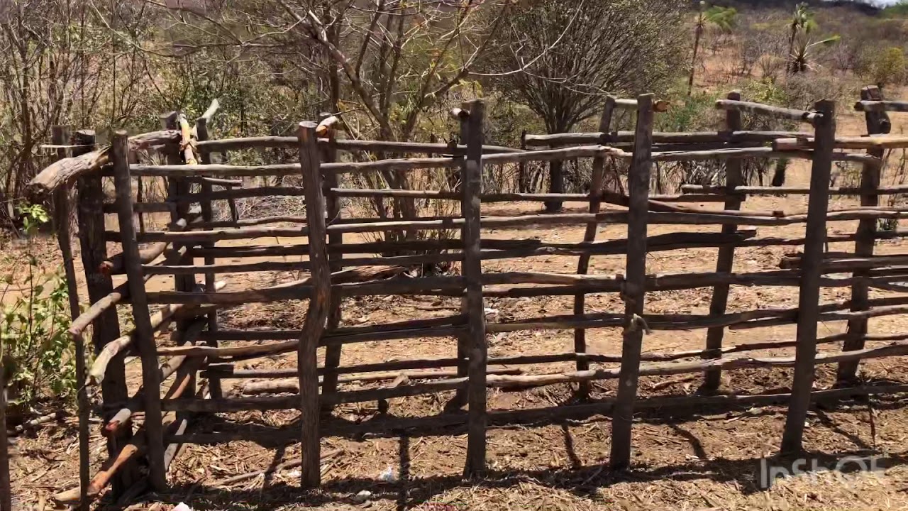 Improvisando brete e curral para trato do gado! - YouTube