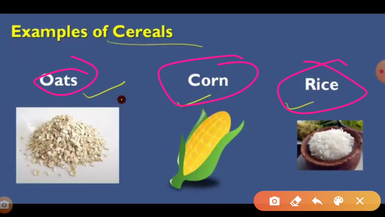 Class 8th science chapter 1. Part 1 - YouTube