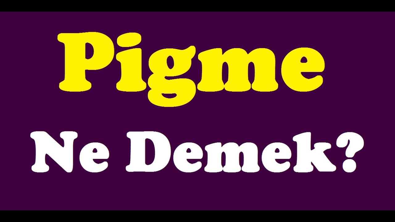 Pigme nedir,pigme ne demek,pigme toplumu nerede - YouTube