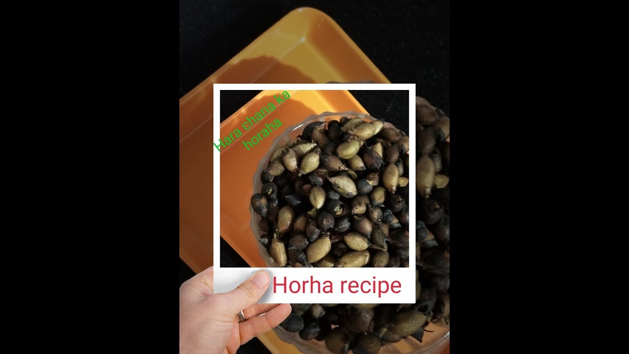 Holika Dahan Special recipe HORHA / Smokey Hara Chana /Traditional ...