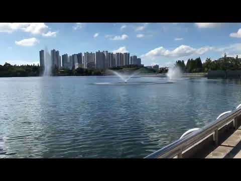 A Serene Escape at Ilsan Lake Park | Goyang