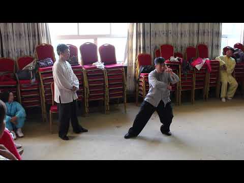 James Fu Qing Quan Tai Chi Step up Parry and Punch