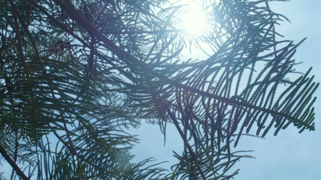 Elizabeth Hunter Lodge - YouTube