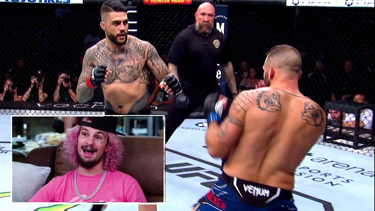 Sean O'Malley, Brian Ortega & More React to EXPLOSIVE Tyson Pedro ...