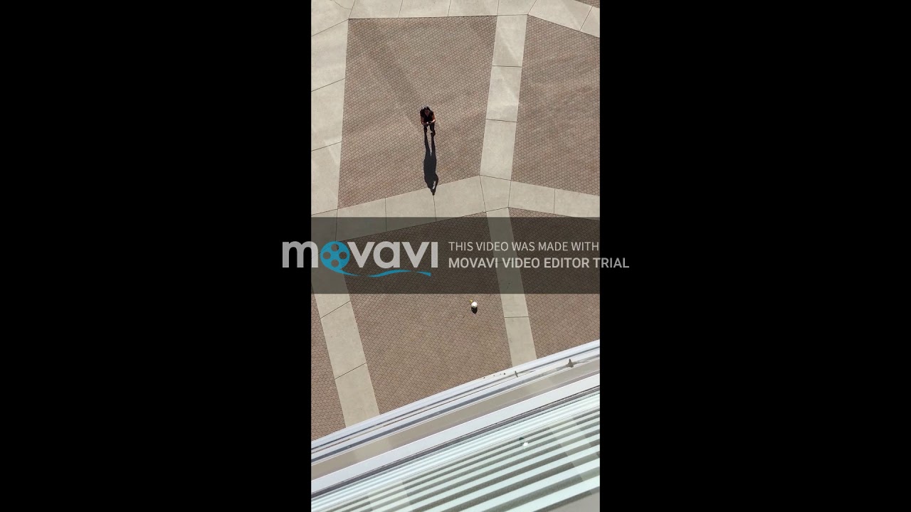 Long Egg Drop - Failed - YouTube