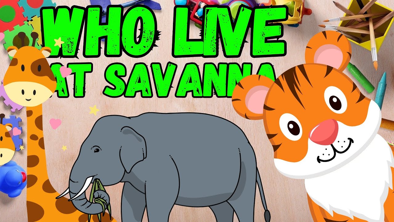 Who Live At Savanna. Easy flash cards wit hinterest facts about animals ...