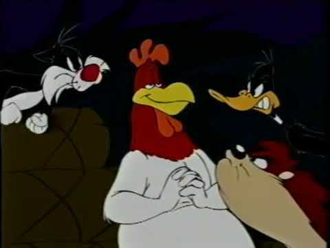 vlc record 2020 04 13 17h35m48s Looney Tunes Reality Check Full 2003 Warner Home Video VHS mp4 ...