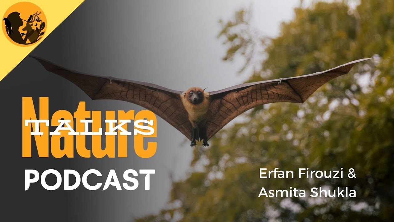 In the Company of Bats: A Conversation with Asmita Shukla - YouTube