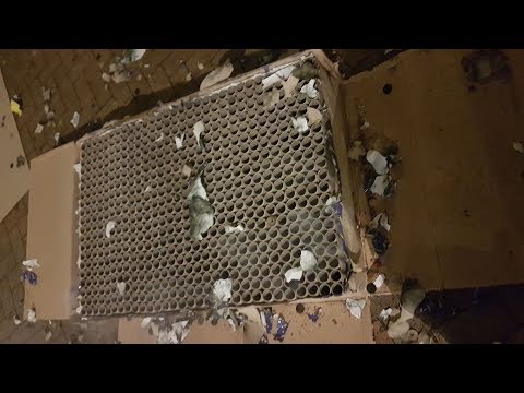 TXB869 - Triplex - 600shots - 1,2\