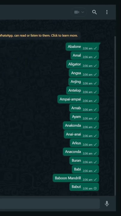 Cara spam WhatsApp #tutorial #coding #programming #python # ...