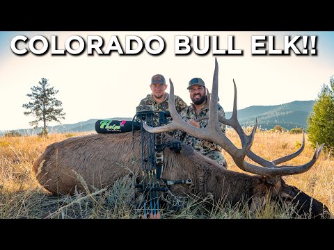 BIG BULL With A Bow!! | Colorado Elk Hunting! - YouTube