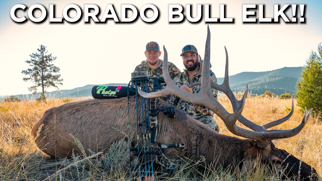 BIG BULL With A Bow!! | Colorado Elk Hunting! - YouTube
