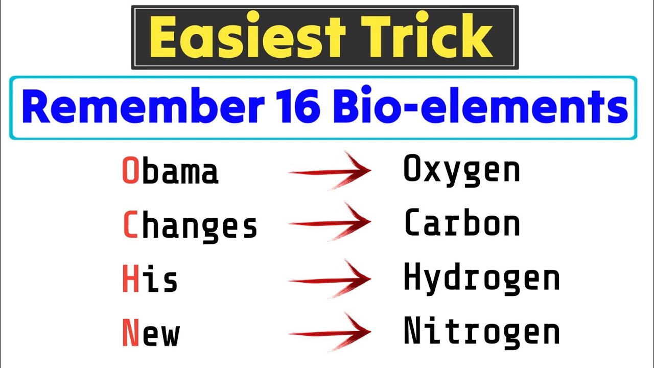 Easiest trick to remember 16 bioelements | just in 1 minute - YouTube