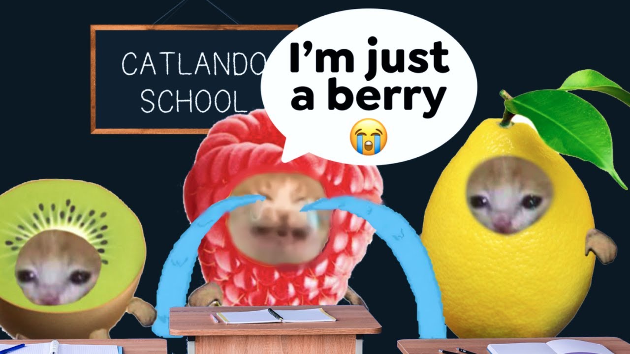 BERRY CAT IS CRYING 🥺 (FRUIT CATS🍓🥝😃) #catmemes #animation - YouTube