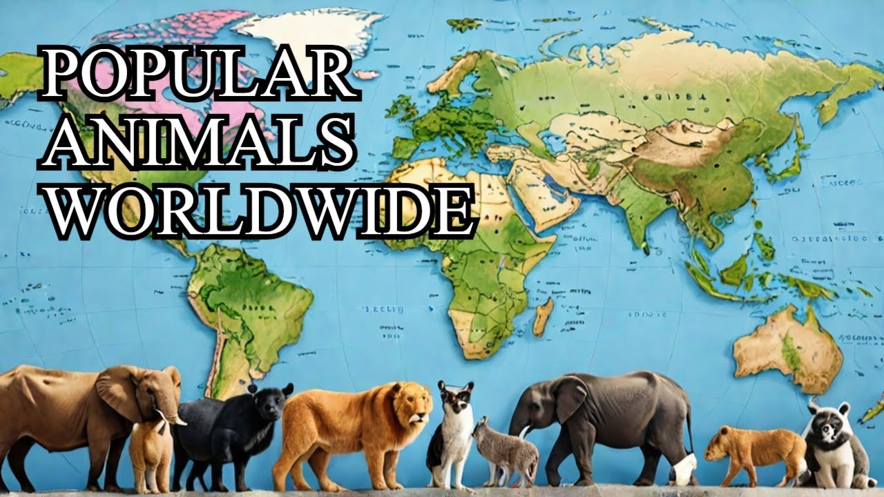 Top 10 Most Popular Animals Around the World - YouTube