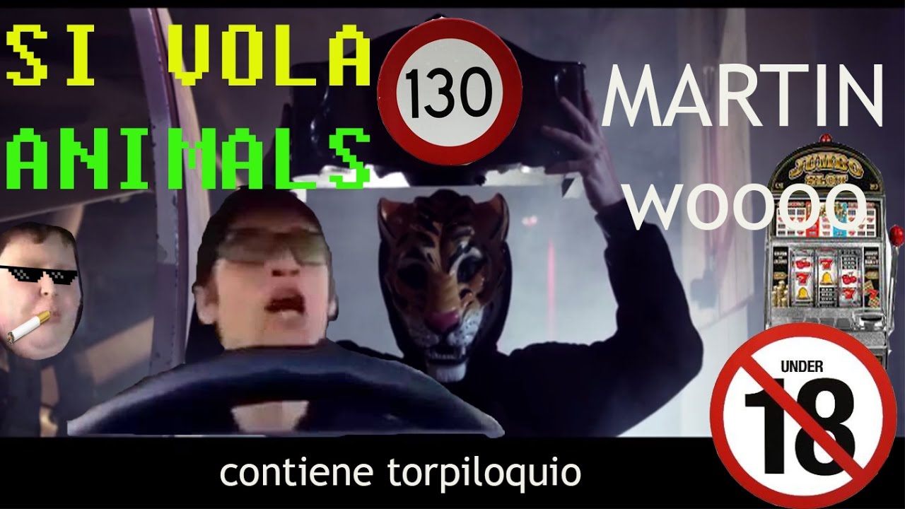 130 SI VOLA ANIMALS !!! WooW - YouTube