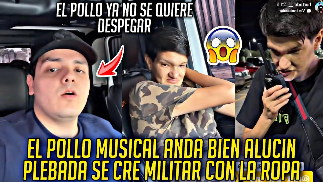 EL KC TOYS ART0 DEL POLLO MUSICAL NO SE QUIERE DESPEGAR DE EL - YouTube