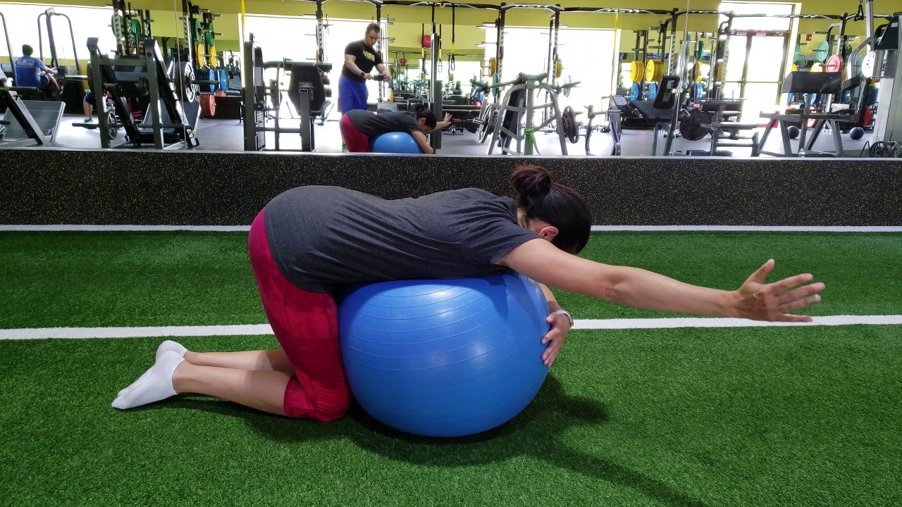 Prone Trap Raise On Stability Ball - YouTube