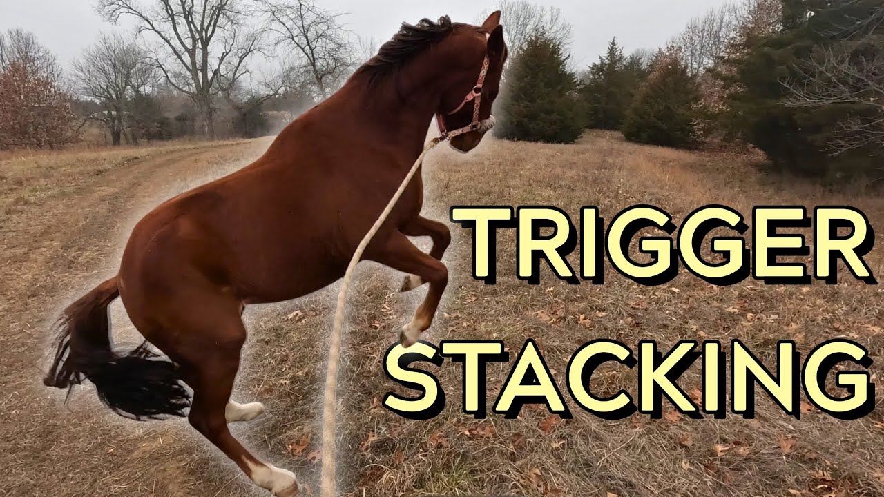 What is Trigger Stacking? | Explanation + Example Video’s | - YouTube