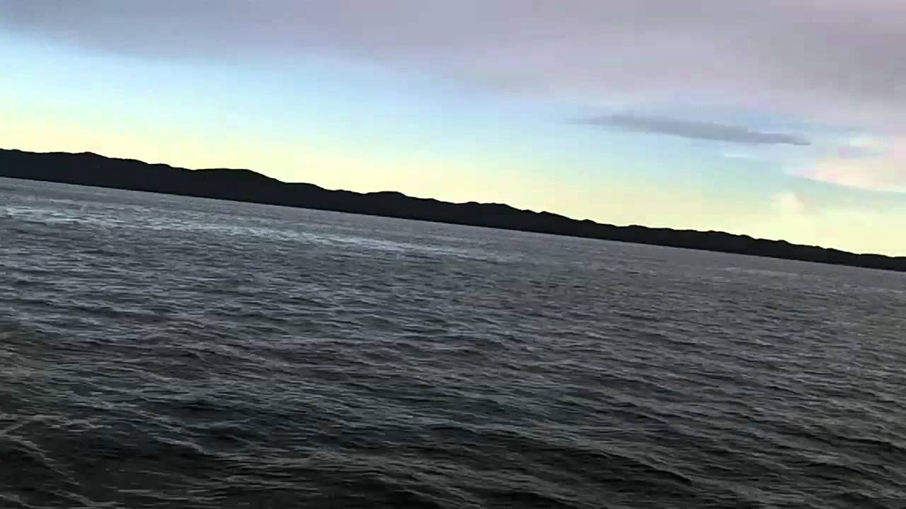 Operation Tyee - YouTube