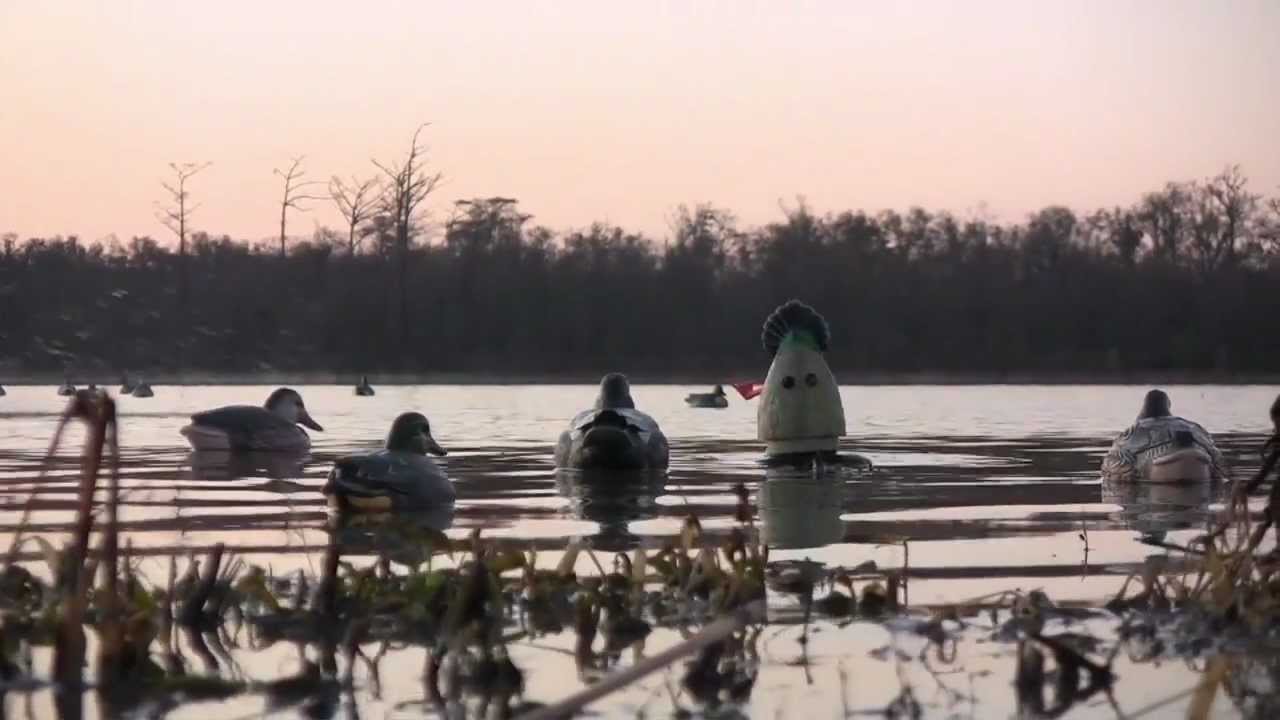 Duck hunting from Hell!!!... - YouTube