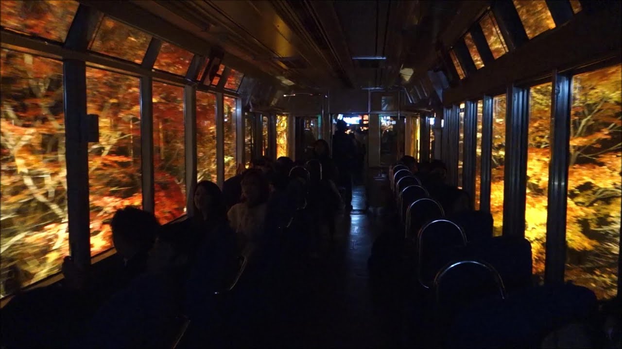 Eizan Railway - Maple Tree Tunnel (Momiji) 2/2 (Night) Kyoto, Japan ...