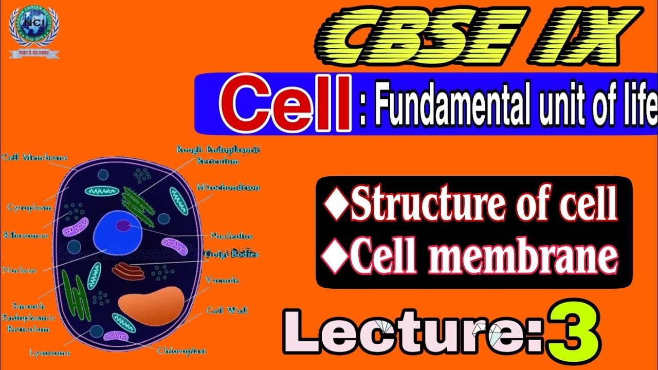 Cell:Fundamental unit of life | CBSE | Class-9 Biology | Lecture-3 ...