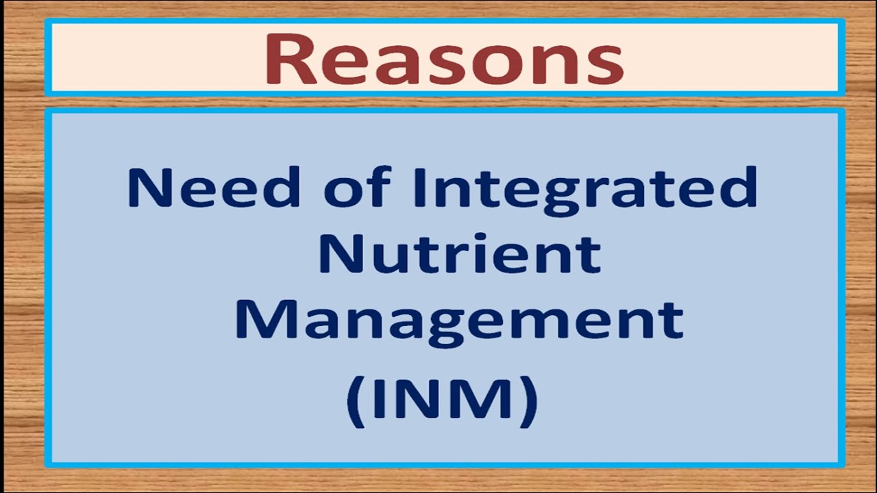 Reasons Need Of Integrated Nutrient Management INM YouTube reasons-need-of-integrated-nutrient-management-inm-youtube