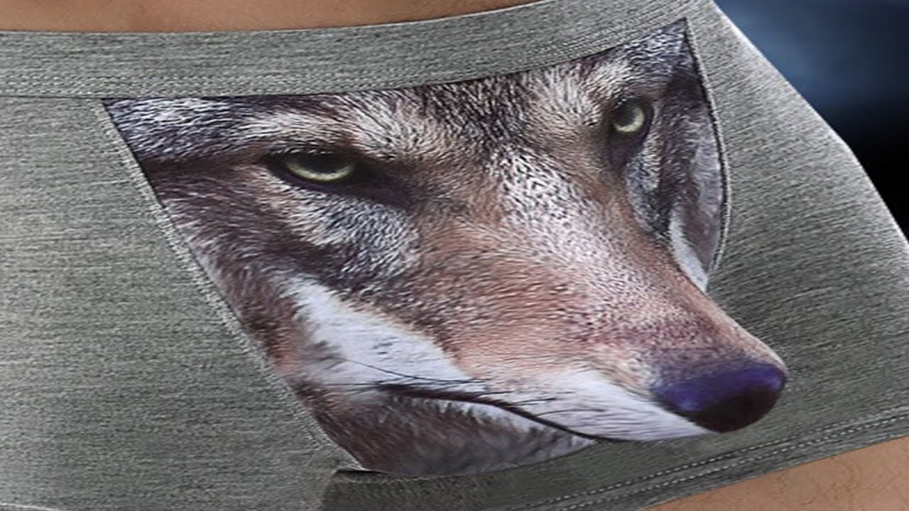 wilcze gacie - YouTube