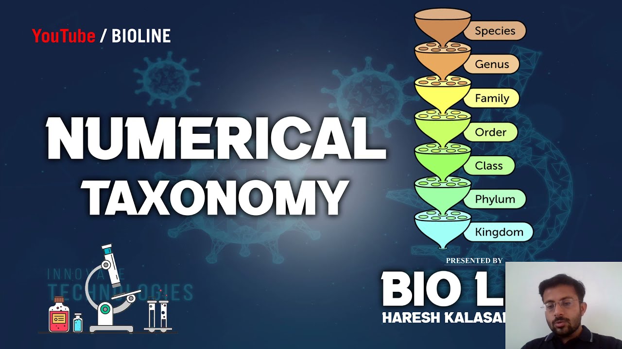 Numerical taxonomy I Bio Line - YouTube