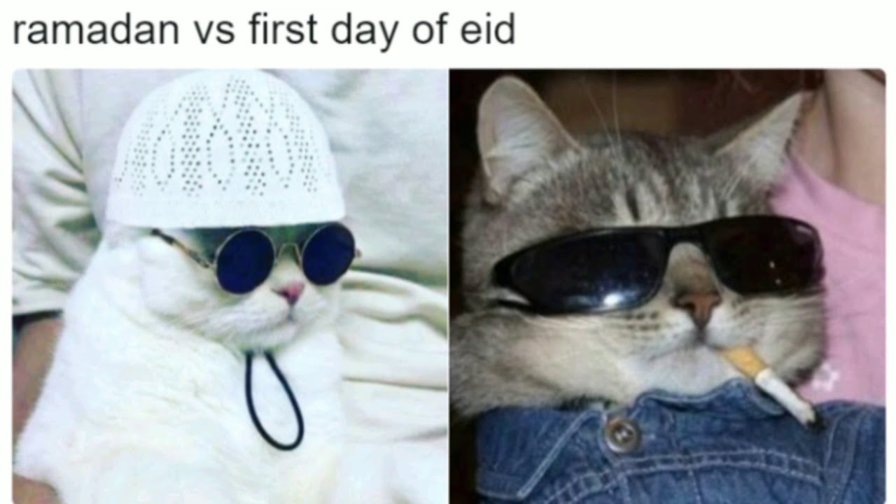 Eid 2020 Funny Memes Compilation | Only Legends Will Understand - YouTube