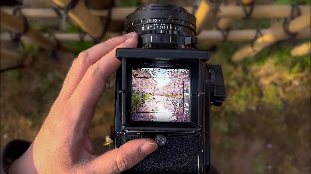 Shoot with Hasselblad 2000FCW Camera 【Landscapes photography】 - YouTube