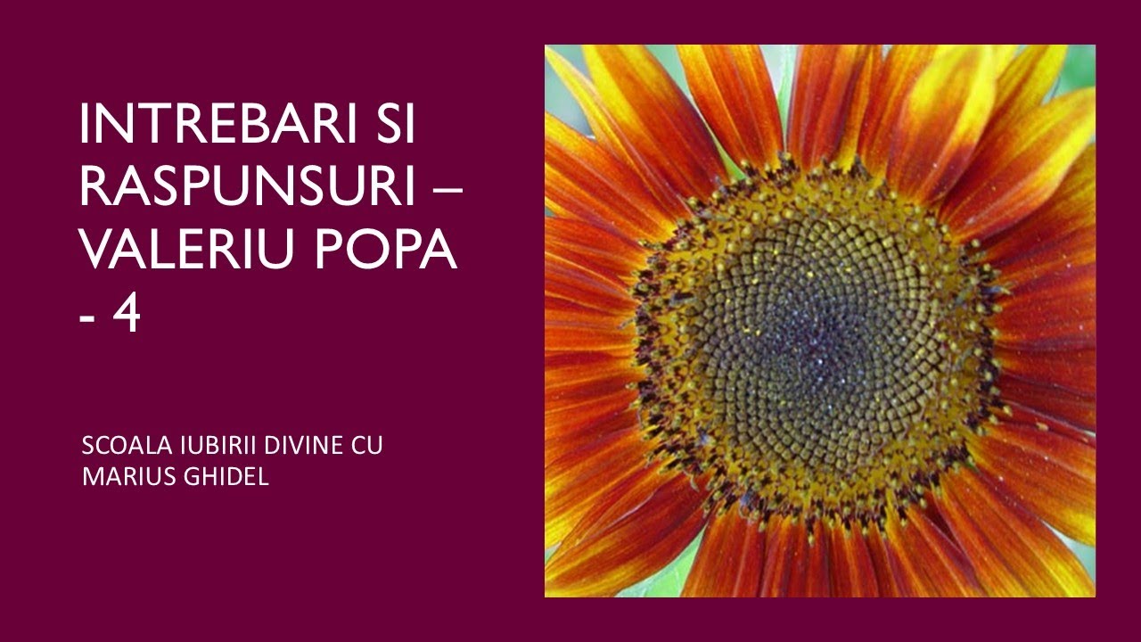 INTREBARI SI RASPUNSURI - VALERIU POPA - 4 - YouTube