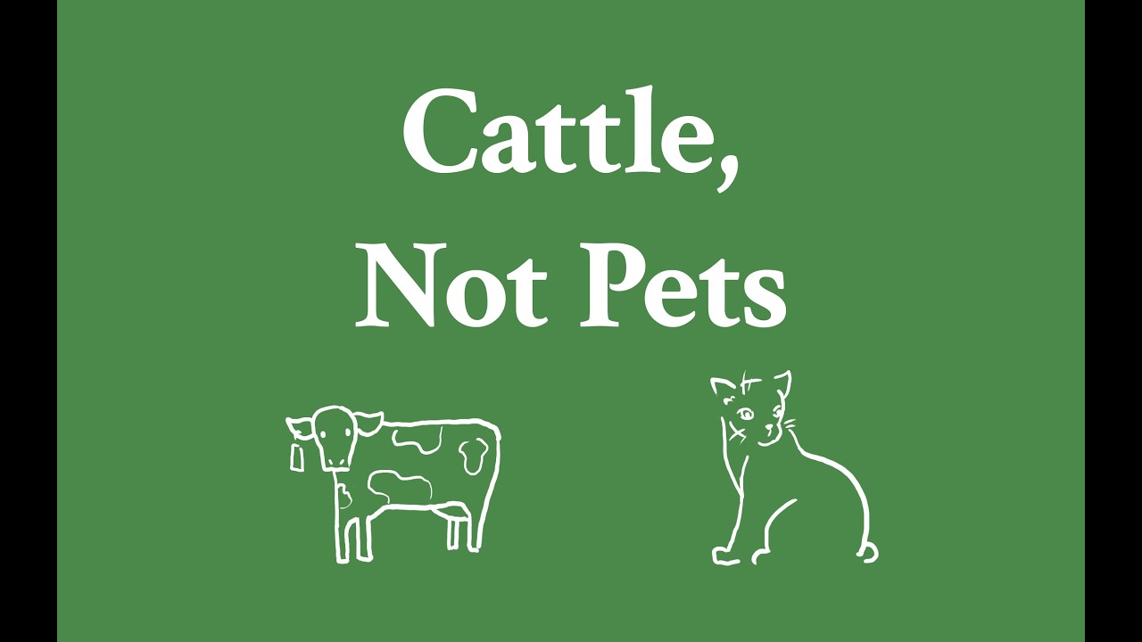 Cattle, Not Pets - YouTube