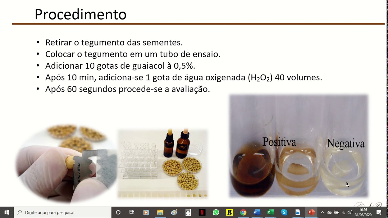 VOC - Teste de Peroxidase e Teste de Hipocótilo - YouTube