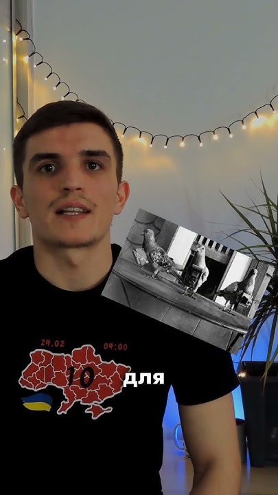 Цікавий факт про голубів цікавіфакти друкнаодязі друкнафутболках Youtube