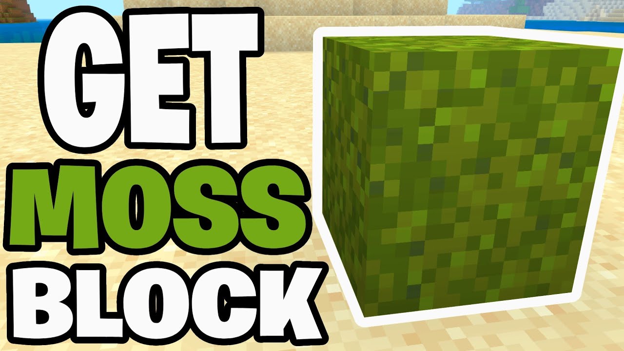 How To Get Moss Block In Minecraft! - Java & Bedrock - YouTube