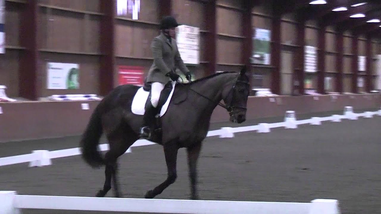 Sarah Batten - Merristwood Novice 35 - Jan 29th 2012 - YouTube