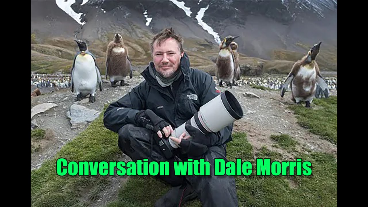 Conversation with Dale Morris - YouTube
