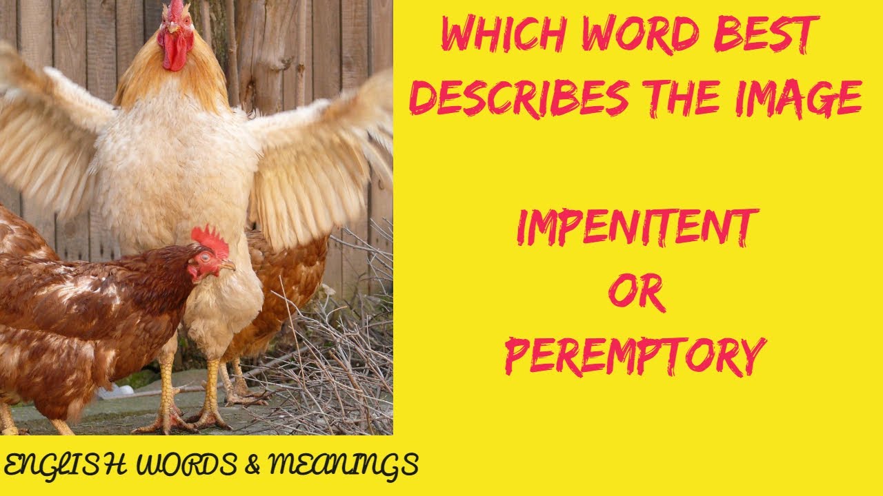 WHAT IS PEREMPTORY| WORD MEANING| PART OF SPEECH| PRONUNCIATION ...