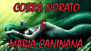 A Lenda da Cobra Sofia Historia do Folclore Brasileiro | Doovi